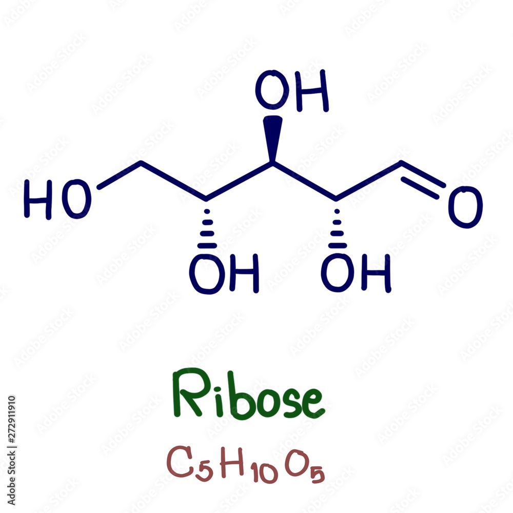Ribose is a carbohydrate with the formula C5H10O5; specifically, it is ...