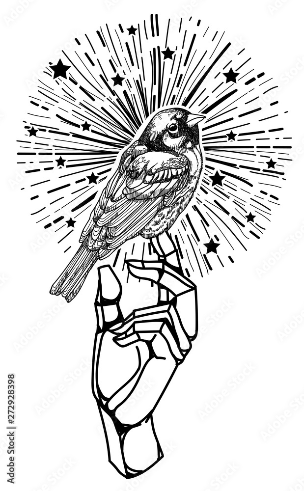 Songbird Drawing Tattoo