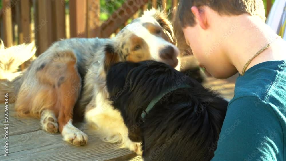 Handsome teen boy with two dogs, one of them being an Australian ...