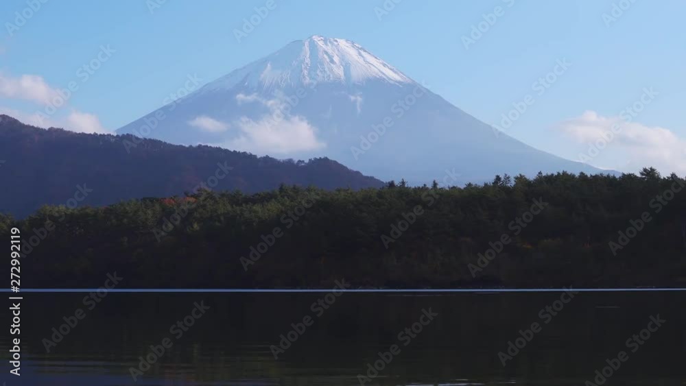 Vidéo Stock Beautiful scenery of lake Saiko with mountain Fuji in ...