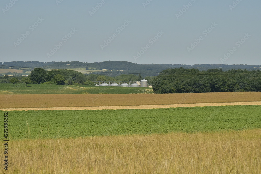 Fotka „Contrastes entre les différentes plantations de blés et de maïs ...