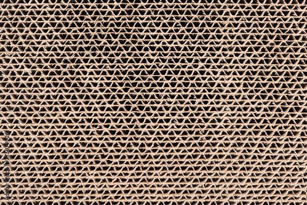 Photo And Art Print Cross Section Of Cardboard Corrugated Pattern As