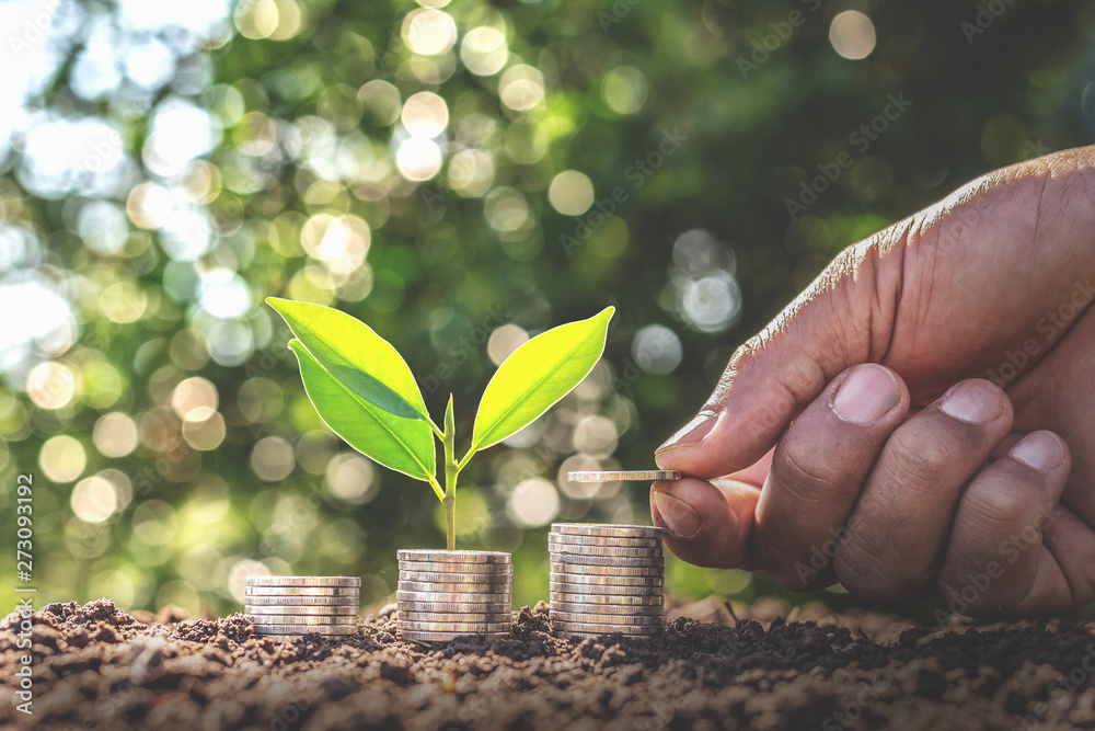Hand giving a coin to a tree growing from pile In coin Money. Financial ...