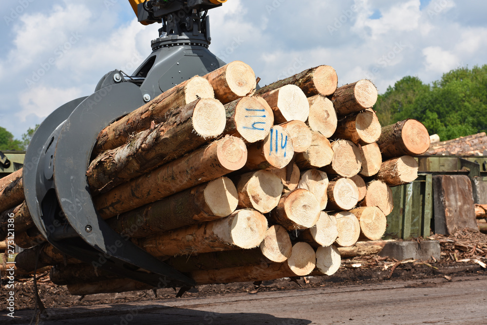 scierie bois industrie scier grappin pince Stock Photo | Adobe Stock
