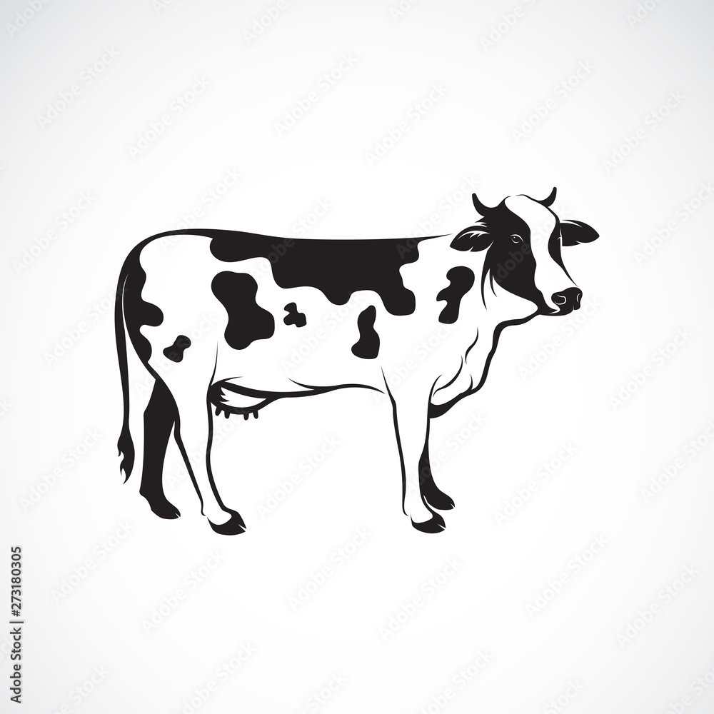 Cow Vector