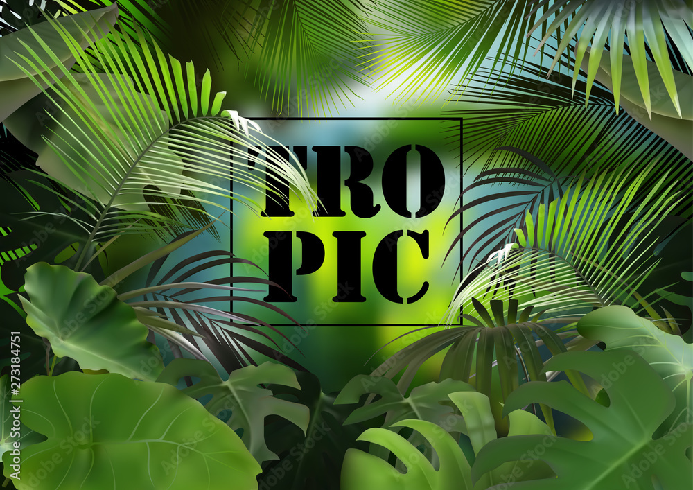 Tropical Background with Photorealistic Vegetation - Exotic Composition ...
