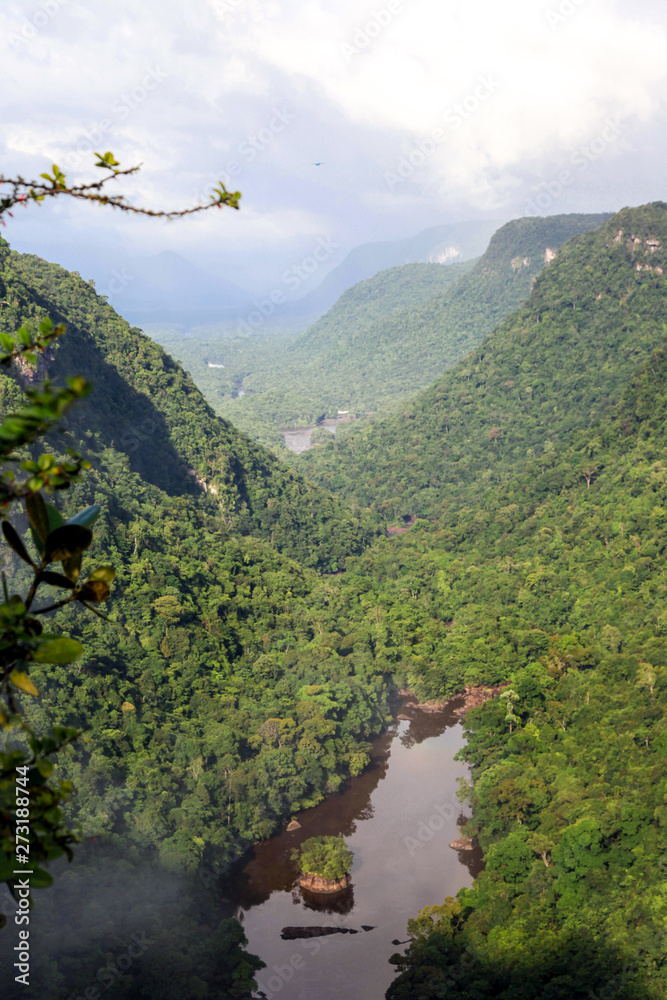 Foto de A view of the river valley, East Berbice, downstream of ...