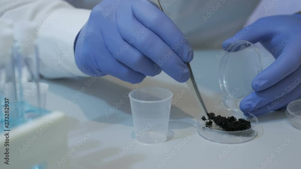 Scientist in a laboratory analyzes the soil inside to collect the DNA ...