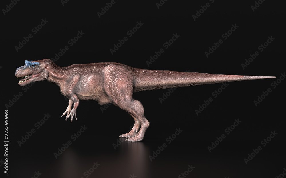 Dinosaur Allosaurus Fragilis standing black background side view 3d ...