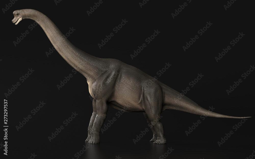 Dinosaur Brachiosaurus standing black background side view 3d render ...