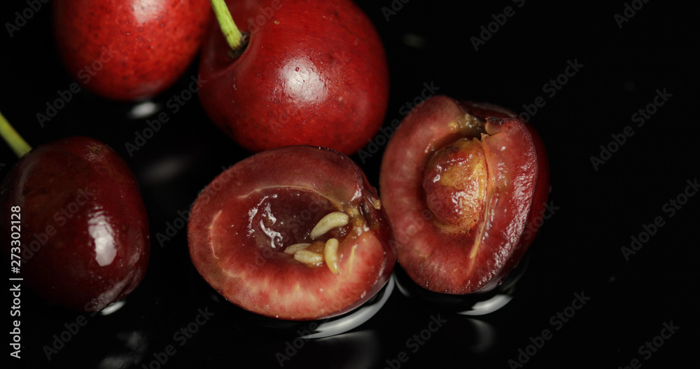 Fruit worms in rotten cherry, black background. Larva of cherry flies ...