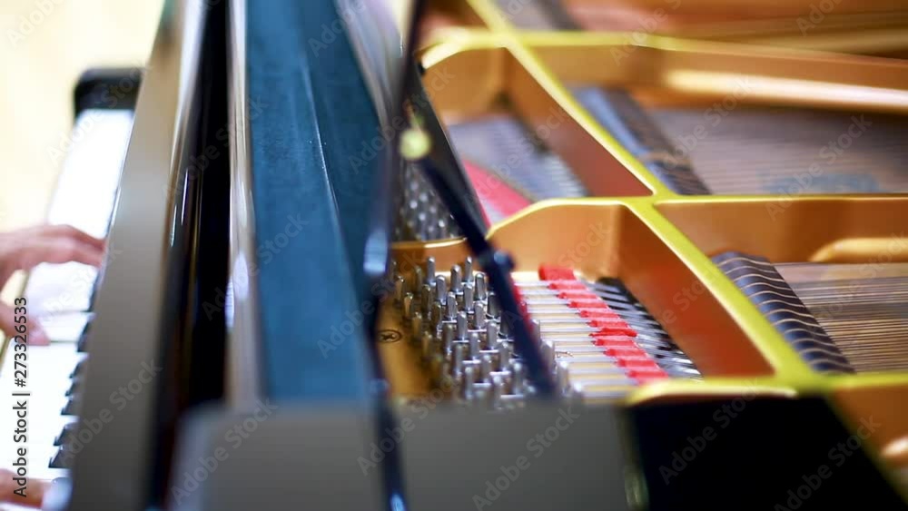 selective focus to inside a grand piano with hands. Interior of a grand ...