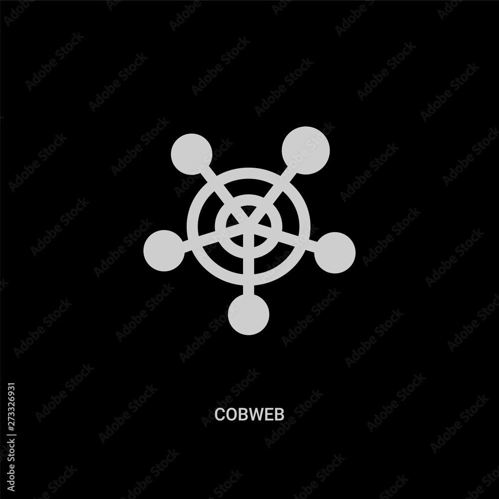 white cobweb vector icon on black background. modern flat cobweb from ...