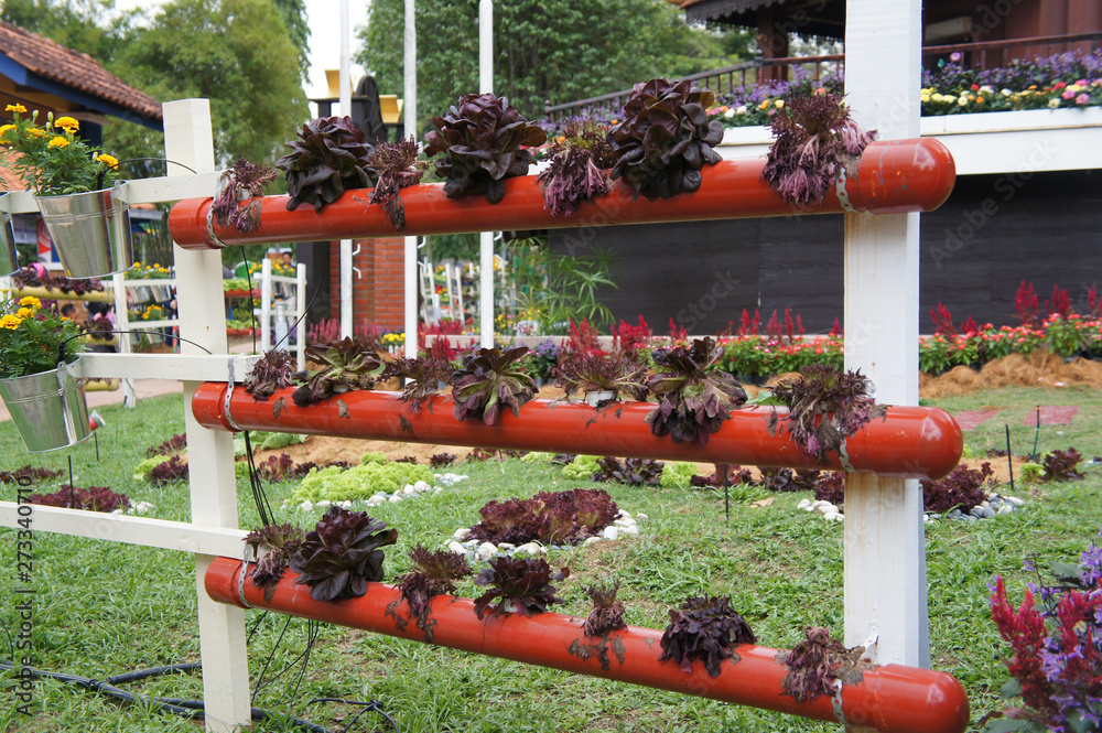 Planting In Pvc Pipes