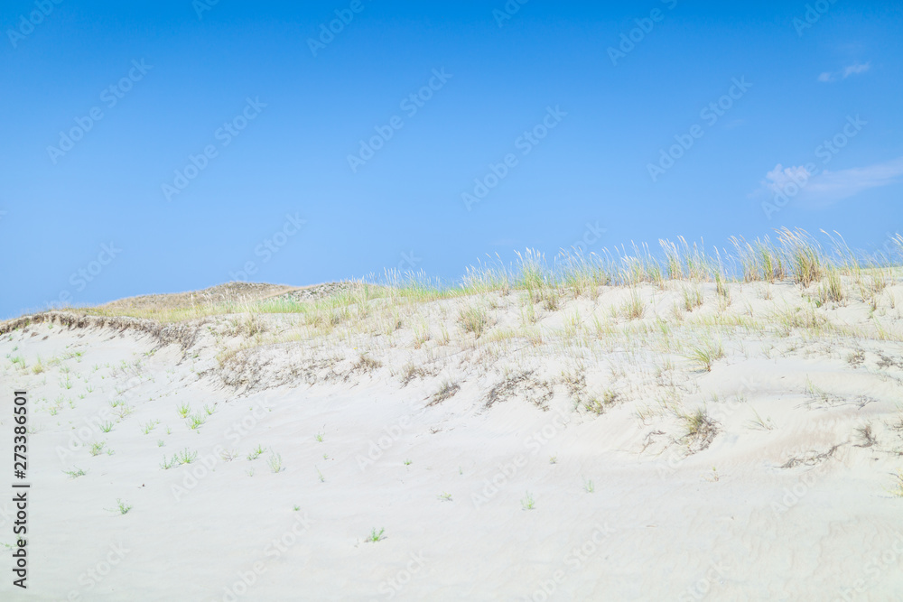 Sand dunes of the Curonian spit also known as "Dead or Grey dunes ...