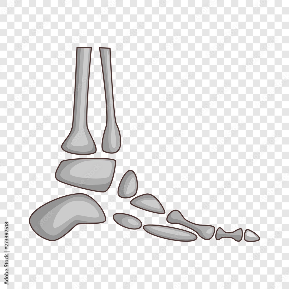 Foot bones icon. Cartoon illustration of foot bones vector icon for web ...