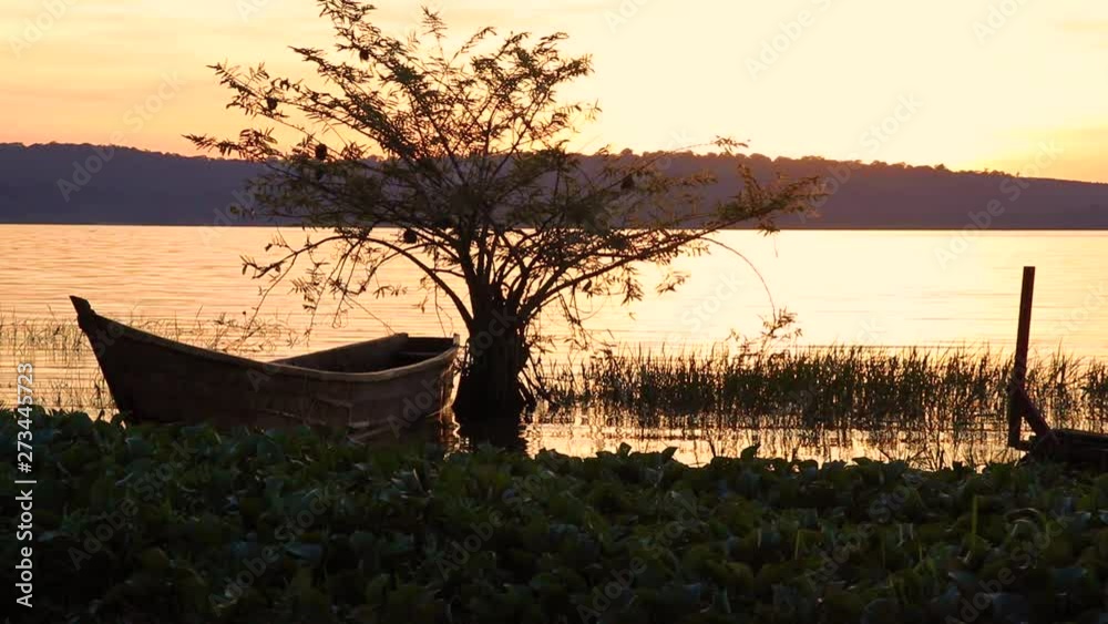 Wooden fishing boat lies next to tree by the shore as sun sets over ...