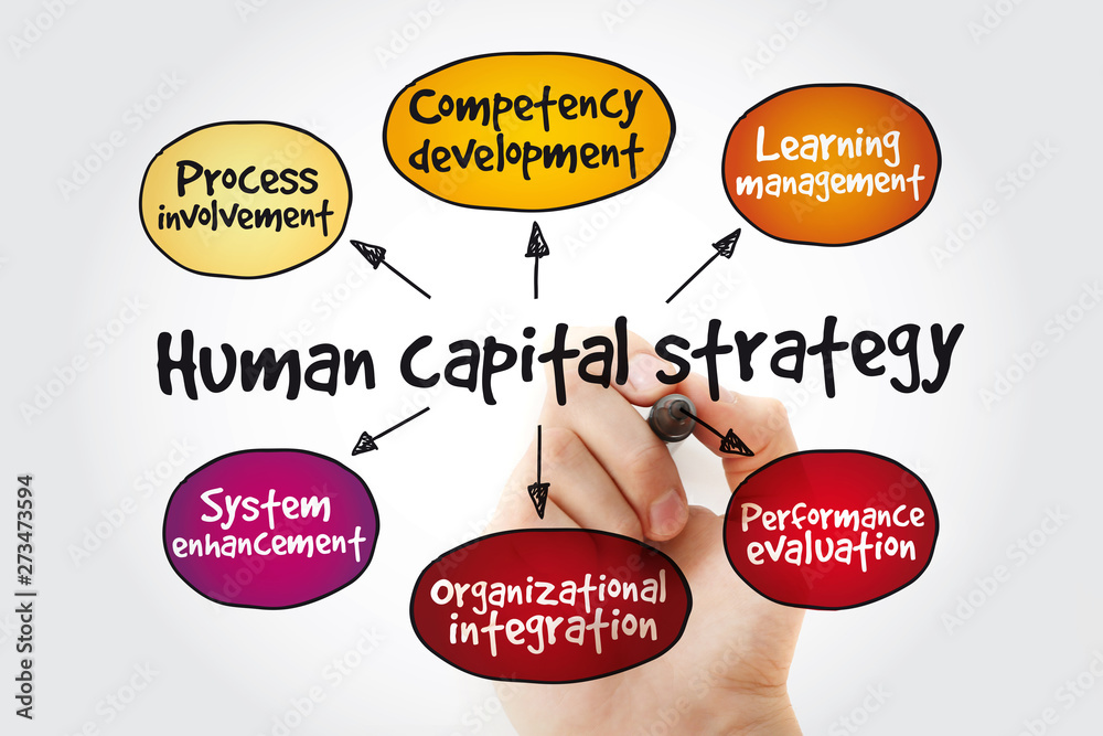 Human capital strategy mind map with marker, business concept Stock ...