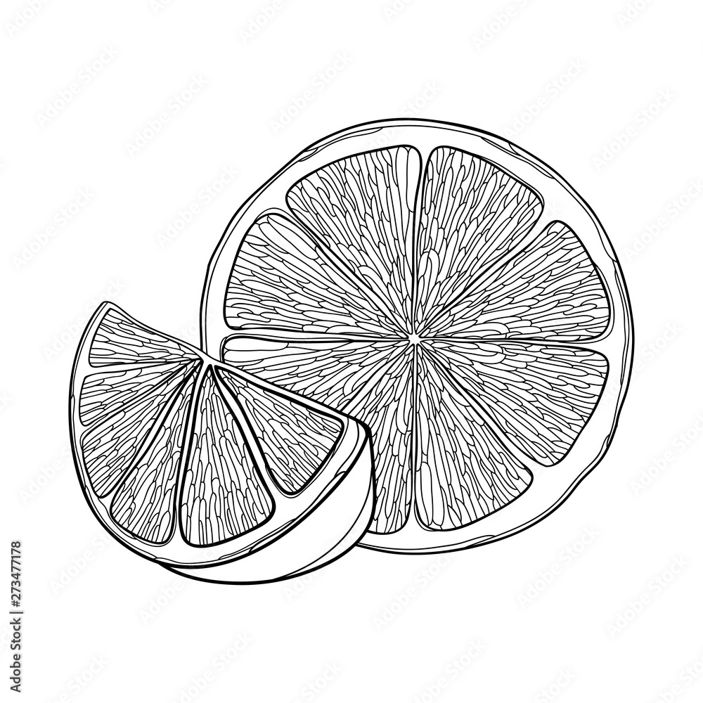 Lime Outline