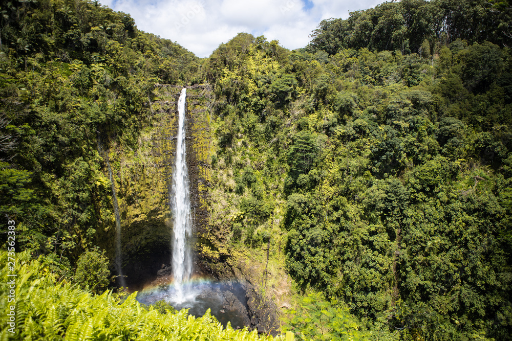 Beautiful jungle waterfall with rainbow at Akaka Falls State Park near ...