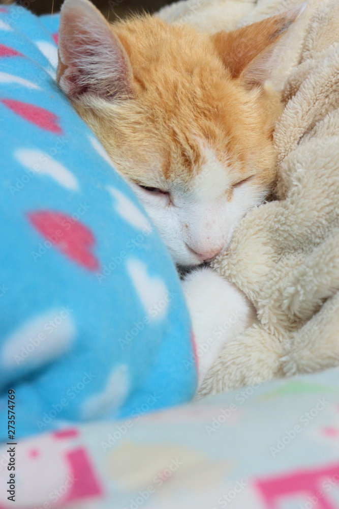 Sleepy Boy With Cat Eyes