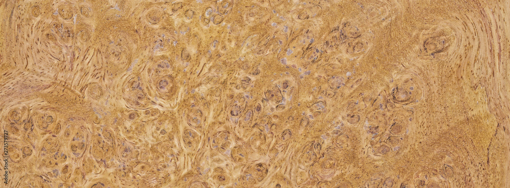 natural burl wood grain texture for banner background Stock Photo ...