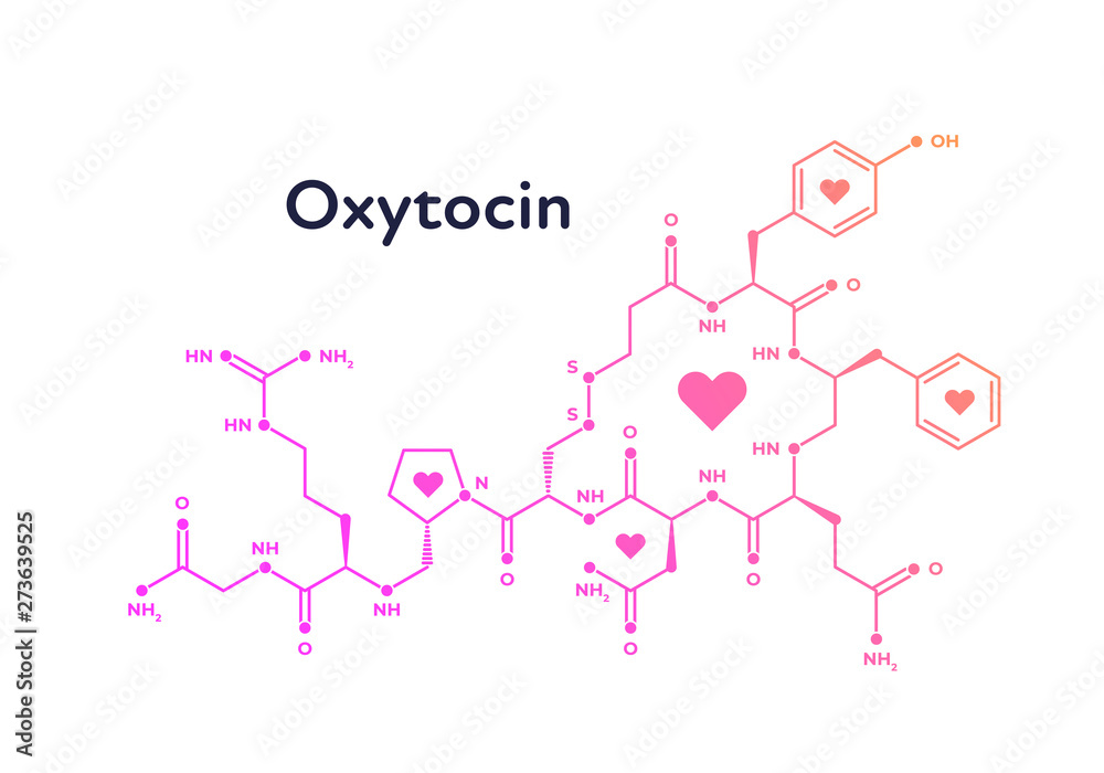 Vector hormones banner template. Oxytocin structure of pink color with ...