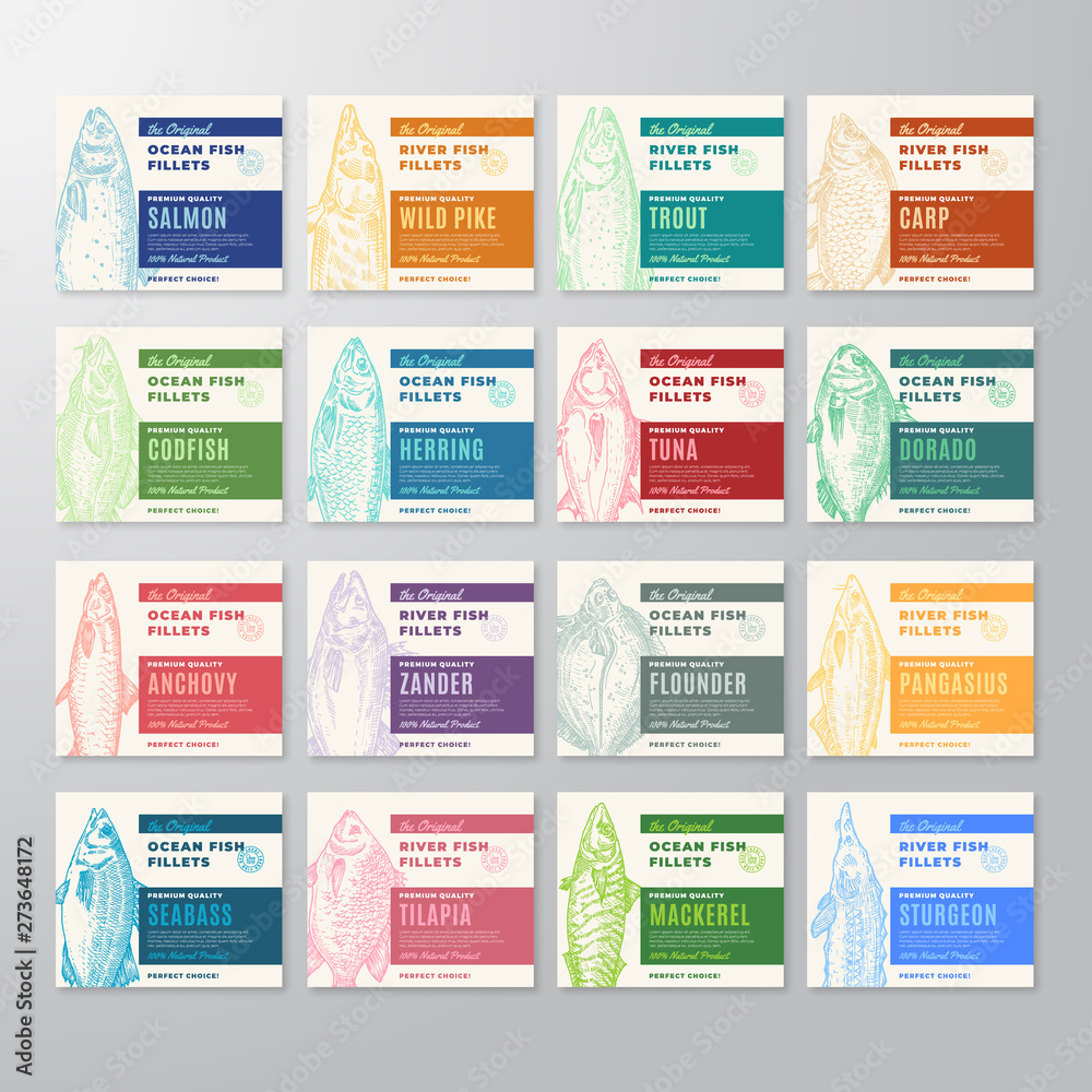 Premium Quality Fish Fillets Labels Big Collection. Abstract Vector ...