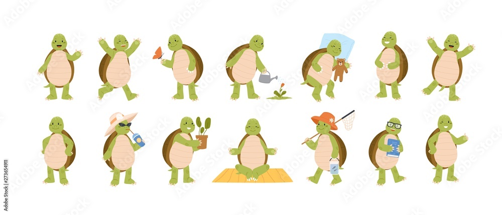Collection of funny adorable tortoise isolated on white background. Set ...