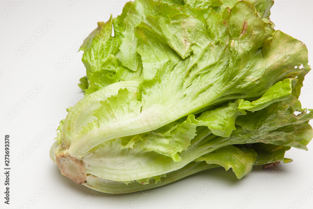 La Lechuga es un alimento que se puede comer en ensaladas acompañada de ...