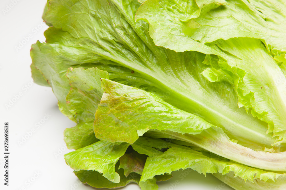 Foto de La Lechuga es un alimento que se puede comer en ensaladas ...
