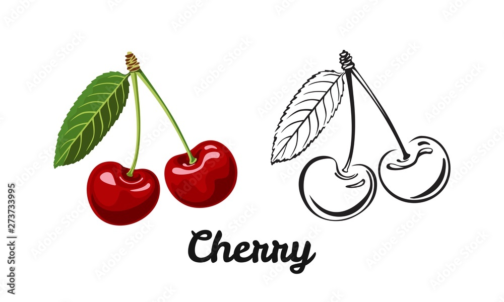 Cherry icon set isolated on white background. Color illustration of a ...