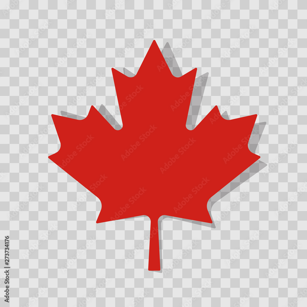Canada leaf on transparent background with shadow. Vector Stock ...