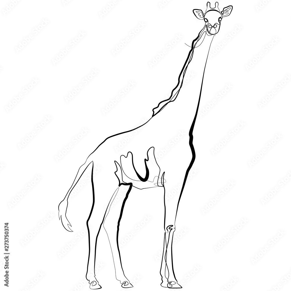 Giraffe one line drawing. Line Art Animal Vector Illustration Stock ...