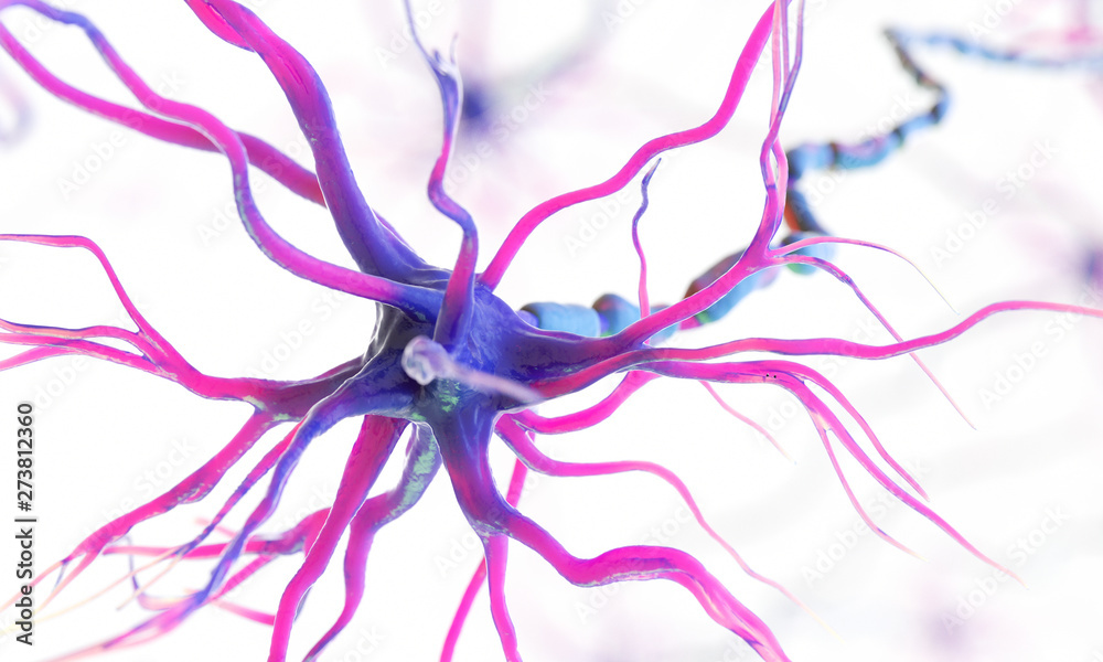 3d rendered medically accurate illustration of a human nerve cell on a ...