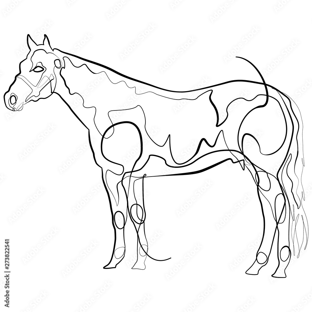 Horse one line drawing. Line Art Riding Vector Illustration Stock ...