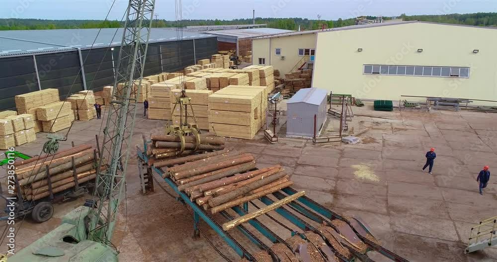 Crane unloads logs on the sorting line. Automated log sorting at a ...