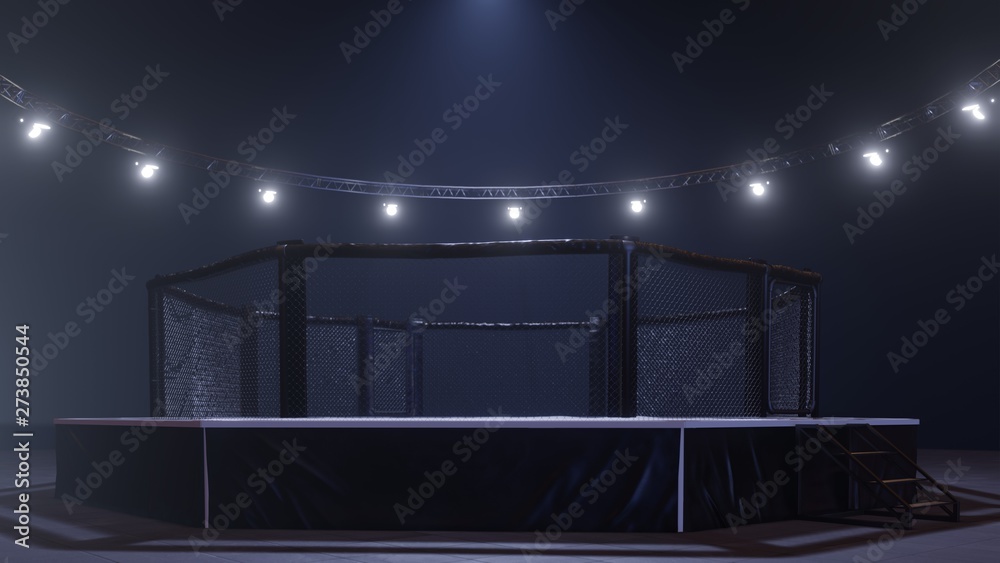 Mma arena side view. Empty fight cage under lights. 3D rendering Stock ...