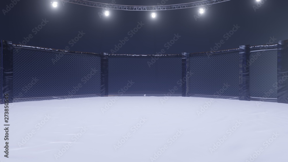 Mma arena side view. Empty fight cage under lights. 3D rendering Stock ...