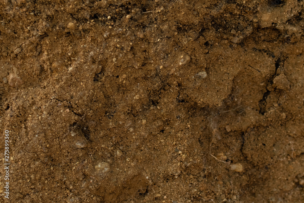 Textura tierra Stock Photo | Adobe Stock