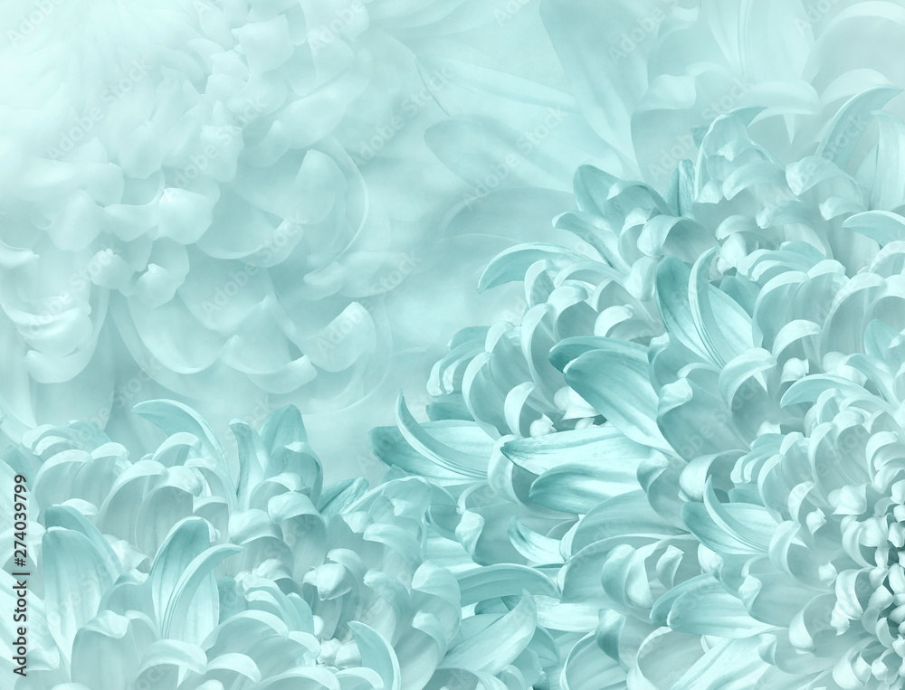 Turquoise Background Floral Tumblr