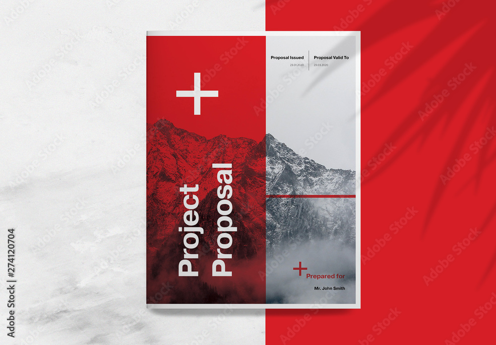 Red and White Project Proposal Stock Template | Adobe Stock