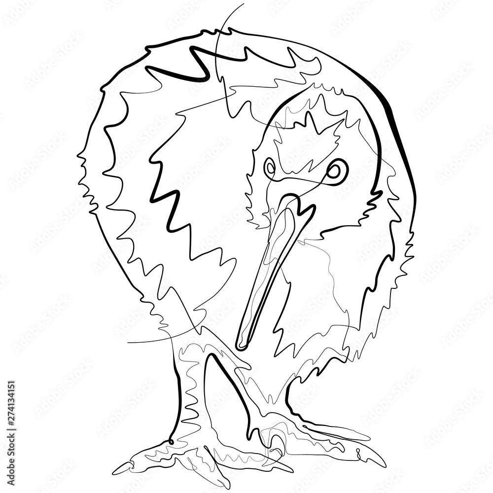 Kiwi bird one line drawing. Australian animal continuous line sketch ...