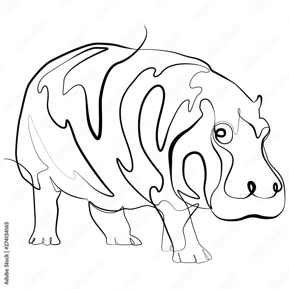 Hippo one line drawing. Africa Animal continuous line sketch Vector ...