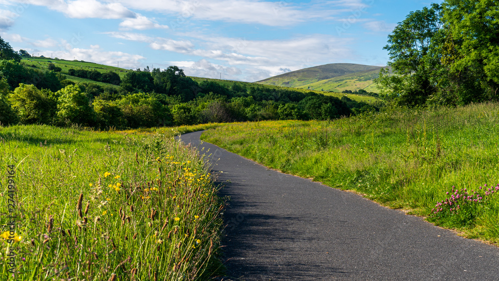 Tarmac foot path through a beautiful green grass and wild flowers ...