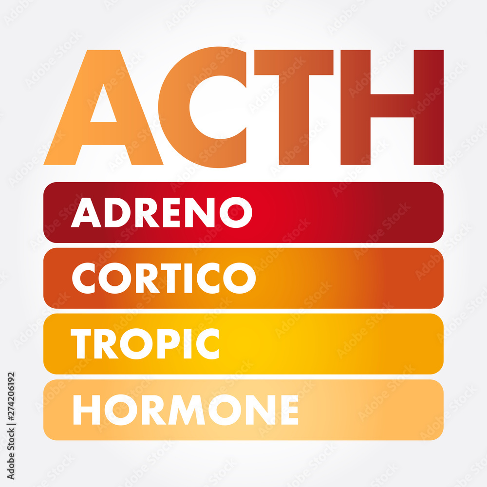 ACTH - Adrenocorticotropic hormone acronym, medical concept background ...