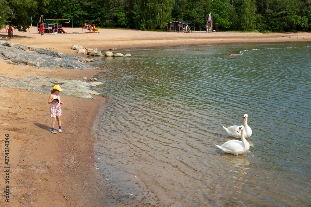 The urban public beach and the resting place of people and swans in ...