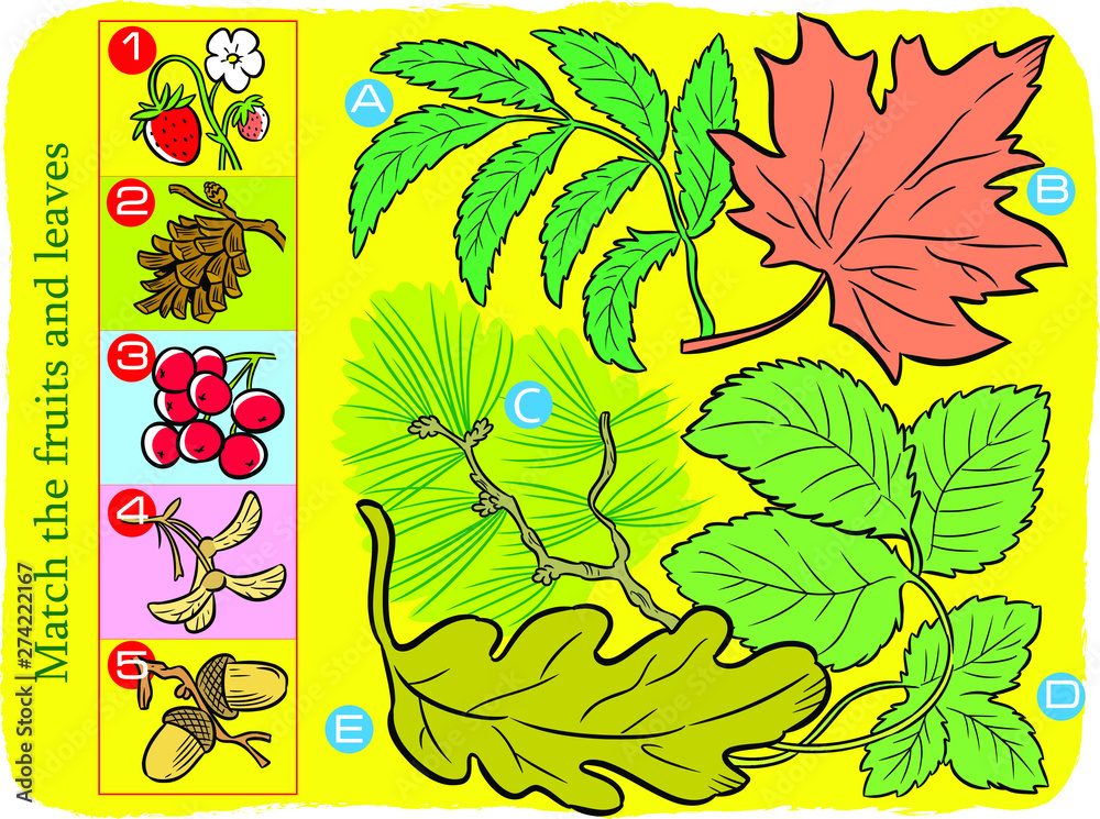Vector illustration where it is necessary to correctly match the leaves ...
