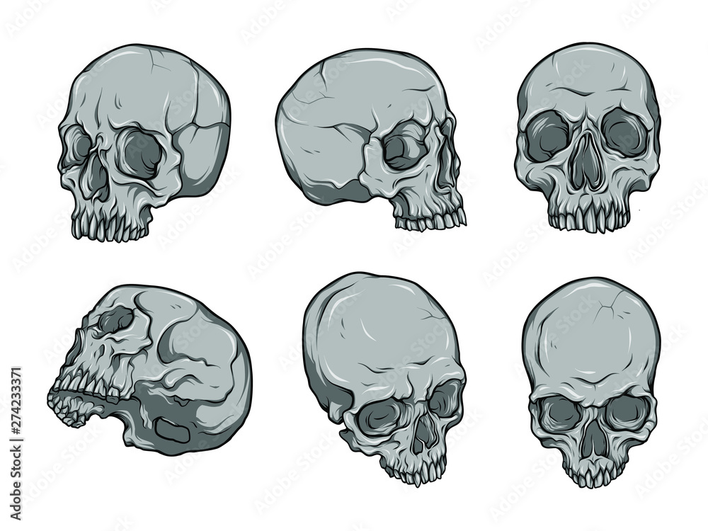 Human skulls set Stock Vector | Adobe Stock