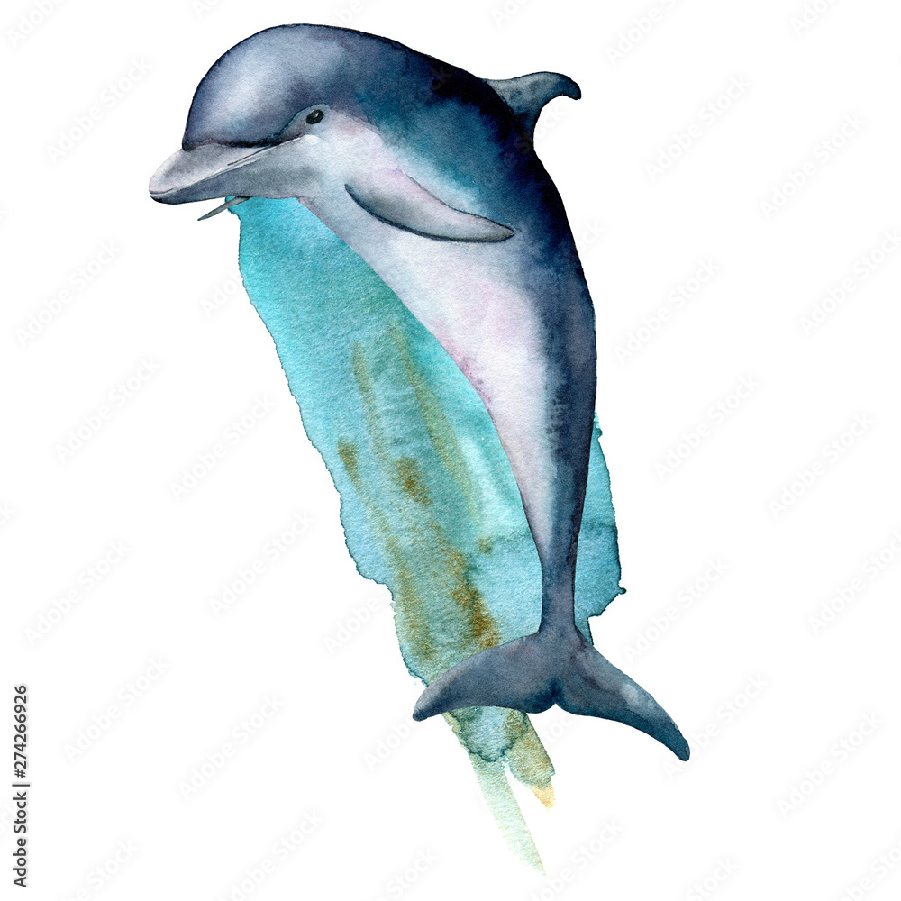 Watercolor dolphin and blue water composition. Hand painted underwater ...